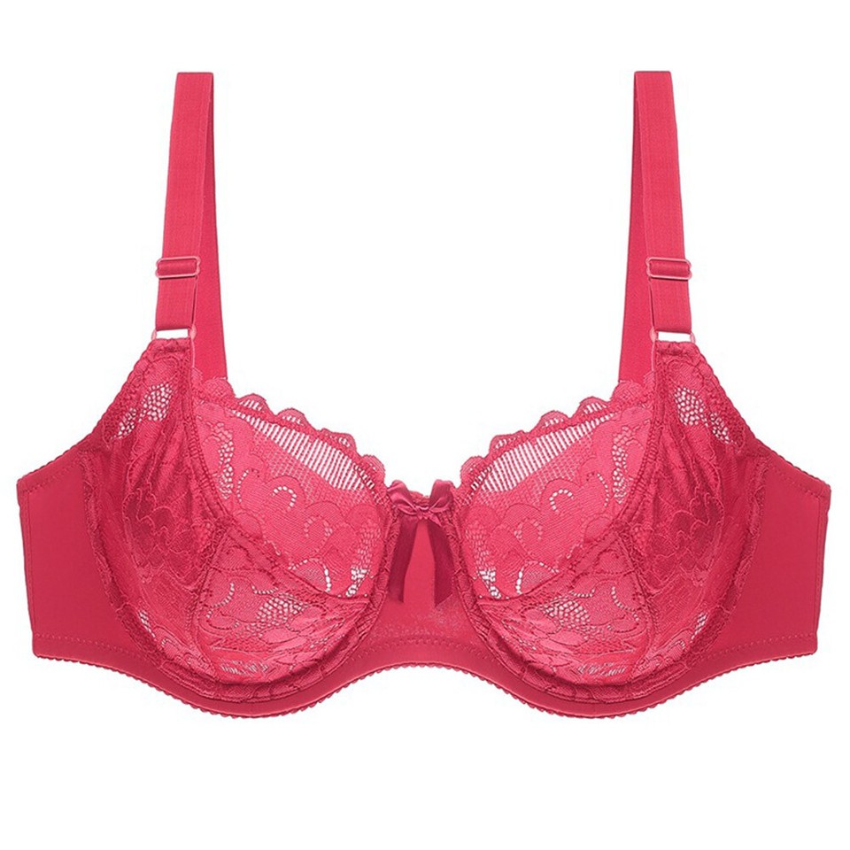Plus Size Womens Bras Lace 36-52 AABCD DDDEF Underwired Brassiere Sexy ...