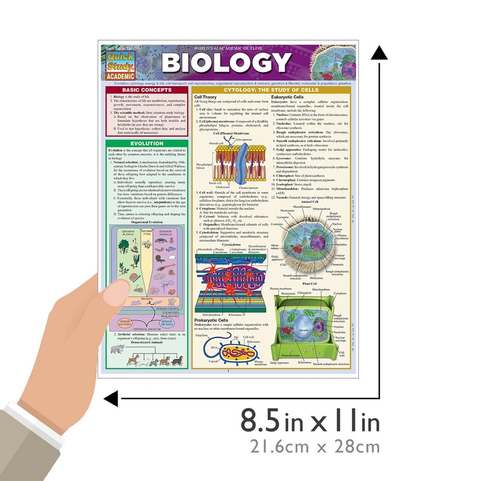 Biology; Tri-Fold Laminated Study & Reference Guide Bar Chart Quick ...