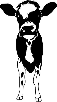 Kuh Kühe Kälbchen Aufkleber Wandtattoo Sticker Heckscheibe Auto Spiegel ...