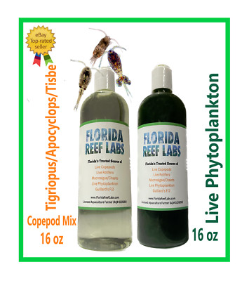 LIVE Copepods 16oz / Live Phytoplankton 16oz Combo - Florida Reef Labs ...
