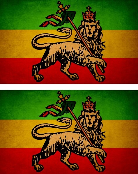 Reggae Flag Lion