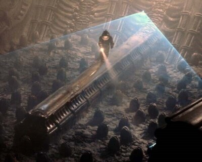 Alien 1979 inside the alien egg chamber 8x10 real photo | eBay