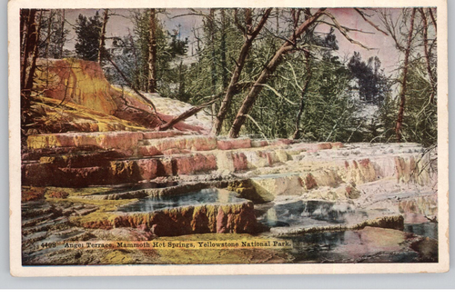 Angel Terrace Mammoth Hot Springs Yellowstone National Park Postcard | eBay