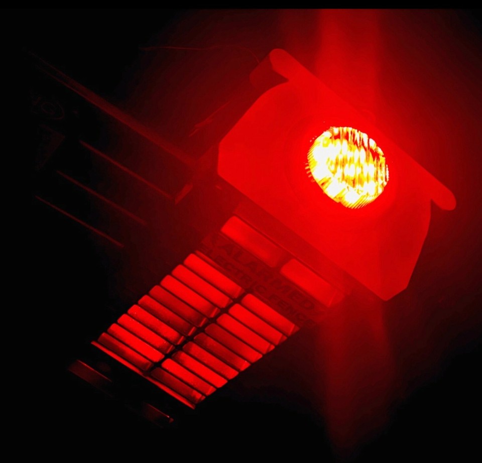 NEW DESIGN 2021 Jurassic Park LE /Premium/Pro RAPTOR FENCE- | eBay