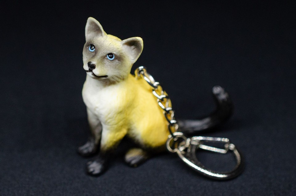 Siamese Cat Kitten Keychain Miniblings Charm Keyring Cat Kitty | eBay