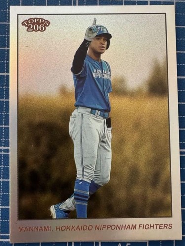 Ps 206 Npb 2024 Manba Nakamasa, To 8 Pieces Koi | eBay