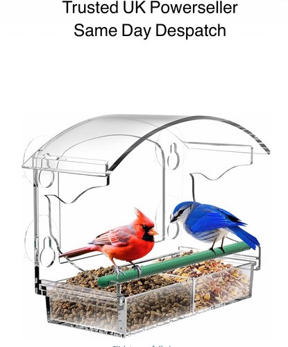 Clear Mounted Window Bird Feeder Perspex Feeding Seeds & Nuts Garden ...