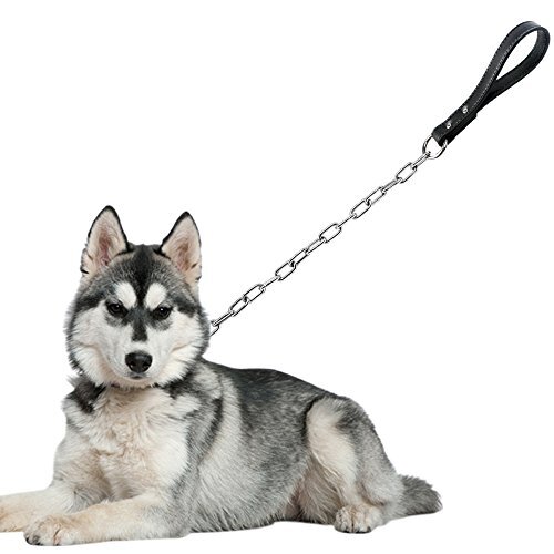 Didog 28 inch Length Heavy Duty Anti-bite Dog Giant Chain Leash with ...