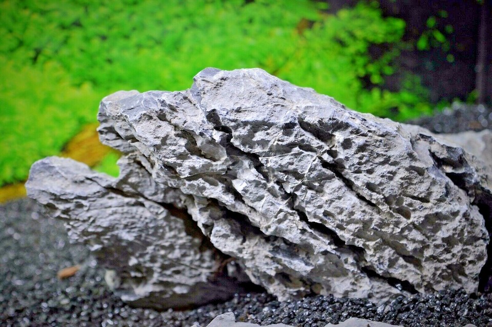 5 KG NATURAL Ryuoh STONE Seiryu FOR AQUARIUM AQUASCAPING IWAGUMI, ROCK ...