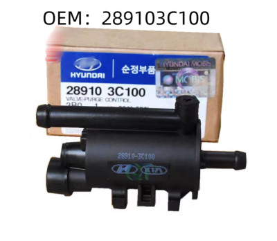 289103C100 Purge Control Valve For Kia Amanti Borrego Sedona Sorento ...