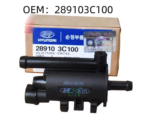 289103C100 Purge Control Valve For Kia Amanti Borrego Sedona Sorento ...