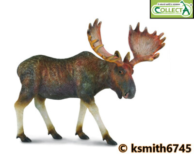 CollectA BULL MOOSE solid plastic toy wild zoo woodland animal deer ...