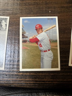 1985 Topps/Renata Galasso Official Pete Rose Baseball Card Set - Pete ...
