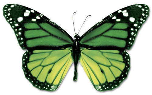 Green Butterflies x 30 Cupcake Toppers Edible Wafer Paper Fairy Cake ...