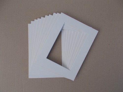 10 x Professional Picture Framing Mat Boards 6"x 8" with 4''x 6" Photo ...