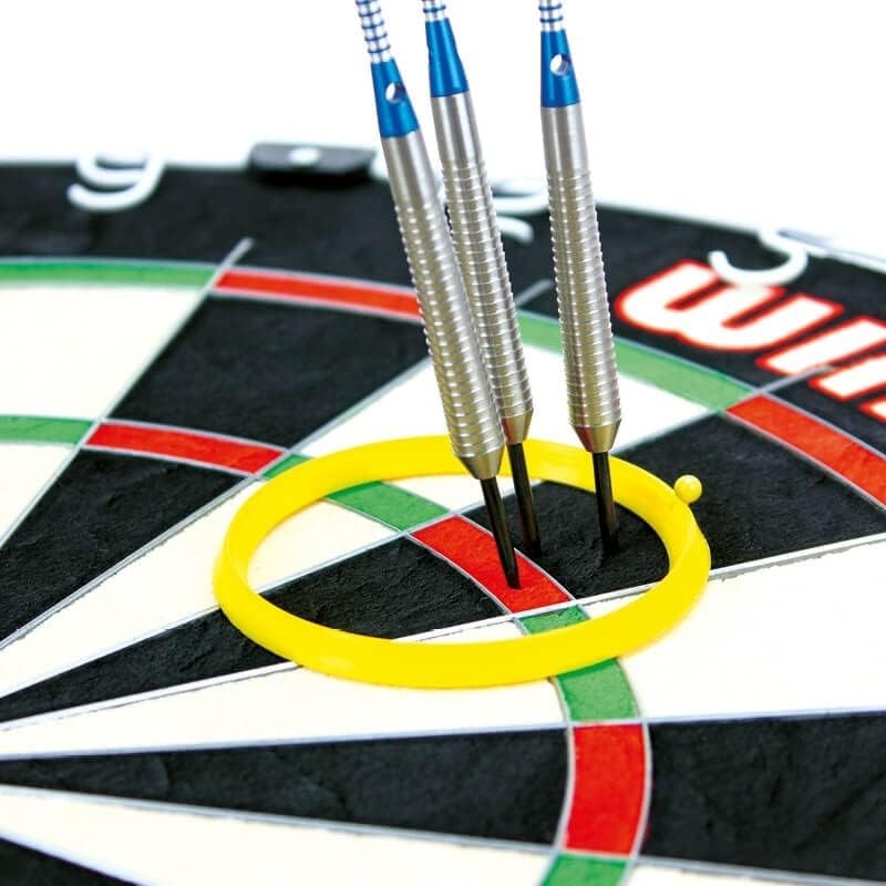 PDC Dart Accessories: Round Board, Progress Charts and Practice Games ...