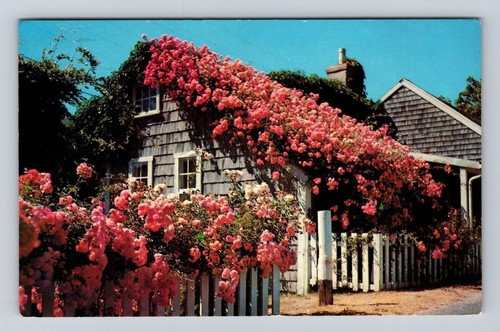 Cape Cod MA- Massachusetts, Rose Covered Cottages, Vintage c1966 ...