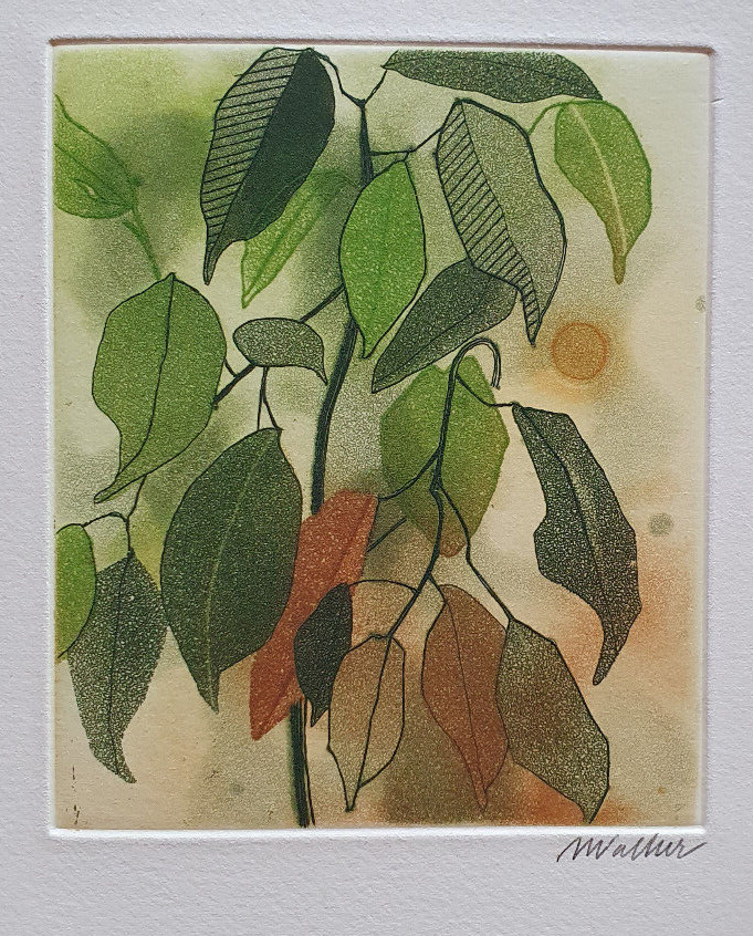 Original Engraving Anne Walker Signed Shaft Vegetation Wishes 1984 Rack ...