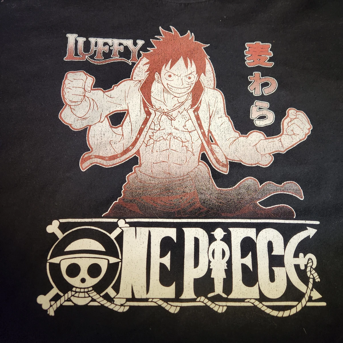 One Piece Characters Luffy Crew