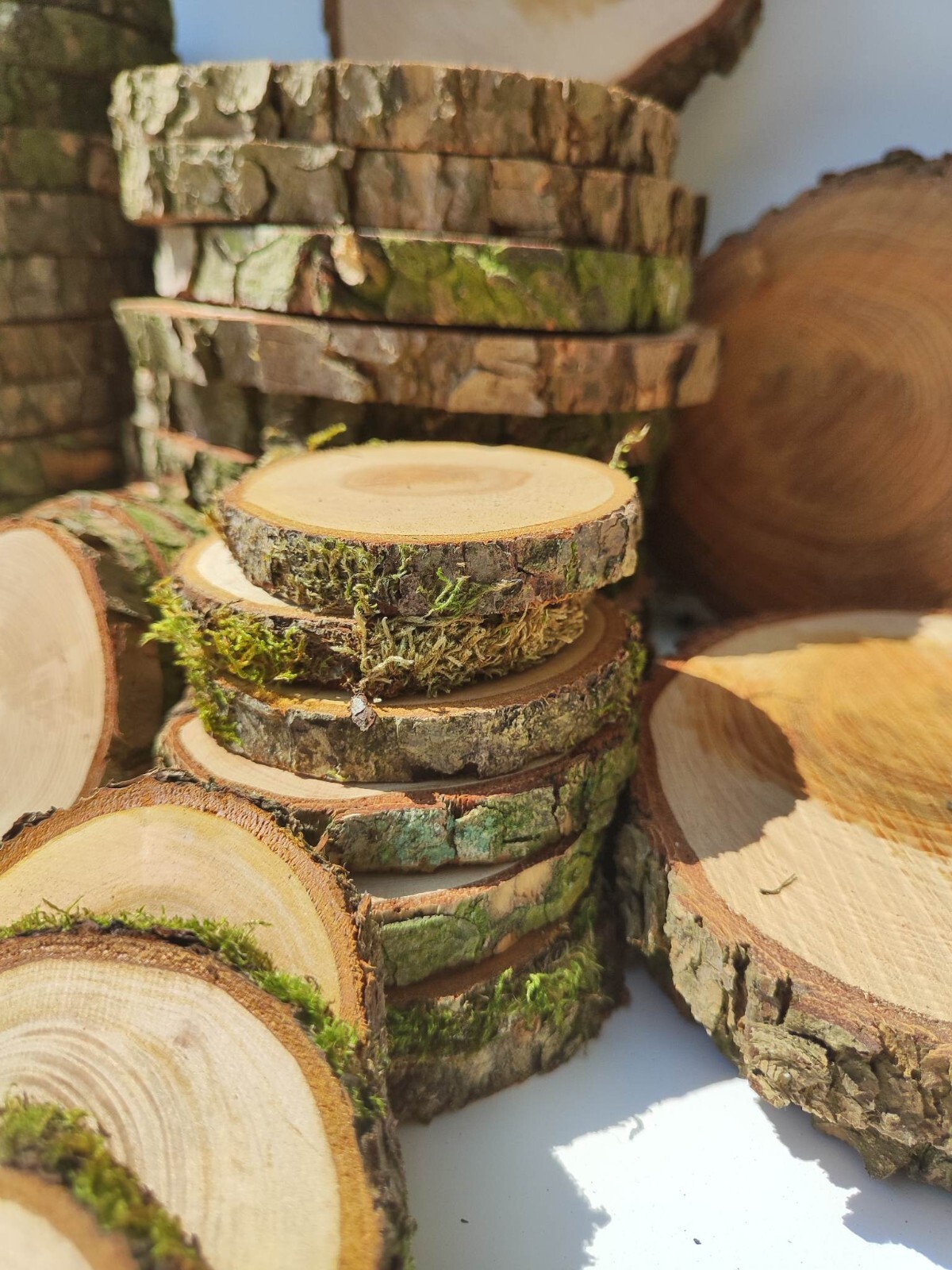 Log Wooden Slices LOCAL CRAFTS 2-18CM Wood Discs Round Wedding Cedar ...