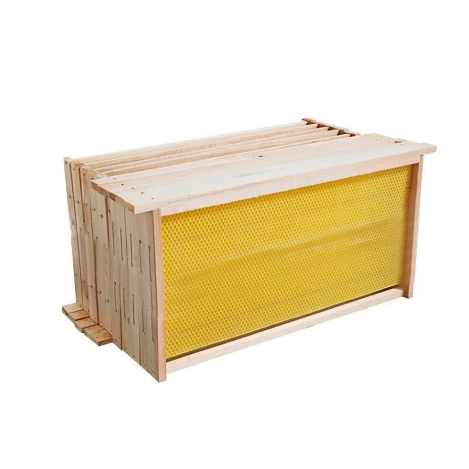 10Pcs Beehive Honey Hive Frame Bee Hives Bee Comb Hive Frames for ...