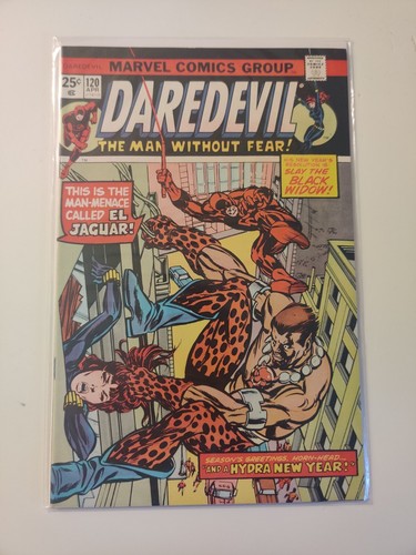 1975 DAREDEVIL #120 1st APPEARANCE OF El JAGUAR MARVEL COMICS NM MCU | eBay