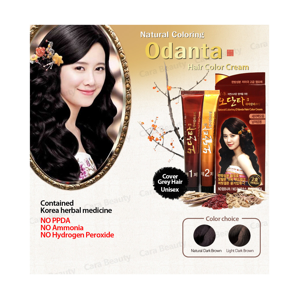 Korea Herbal HAIR DYE KIT Cover Grey Hair NO PPDA NO AMMONIA NO ...