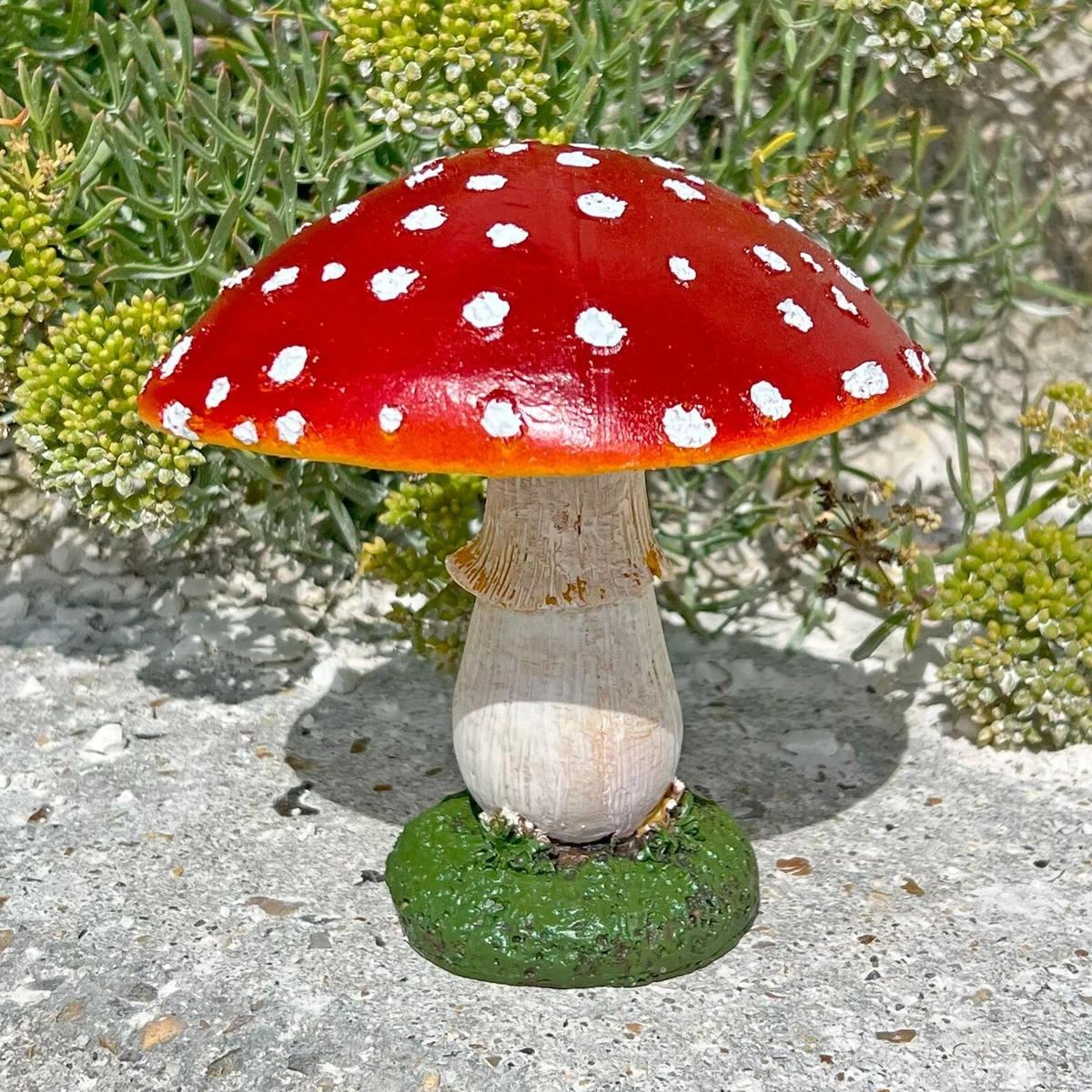 Garden Toadstools Uk | Fasci Garden