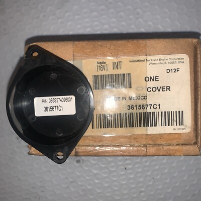 International 3615677C1 Blank Instrument Cluster Cover/FILLER | eBay