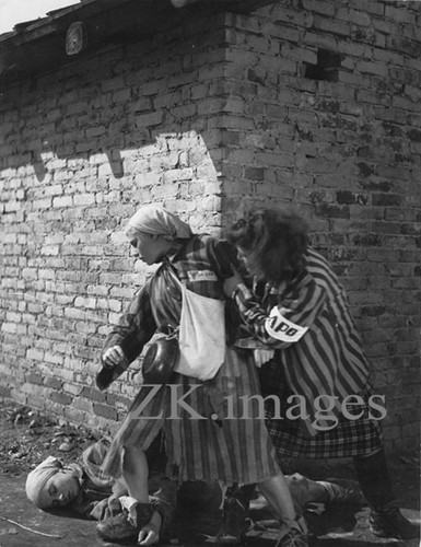 CAMP CONCENTRATION AUSCHWITZ women's Kapo Jakubowska 1947 | eBay