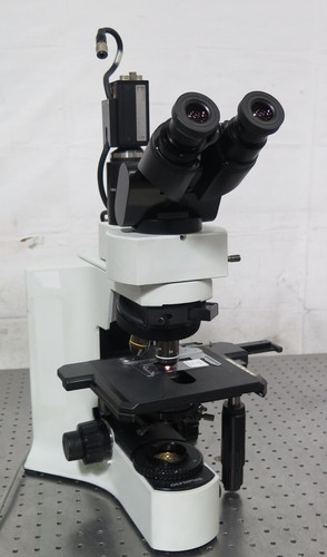 R197497 Olympus BX41TF BX41 Trinocular Microscope w/ 10x 100x ...