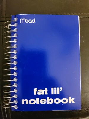 Mead Fat Lil Wirebound Notebook, College Ruled, 200 Sheets | eBay