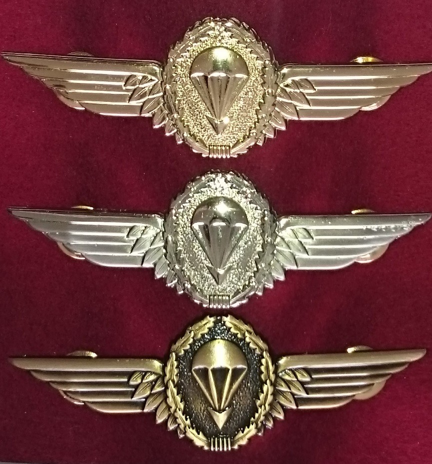 German Paratrooper Logo Fallschirmjägertruppe Paratroopers (German