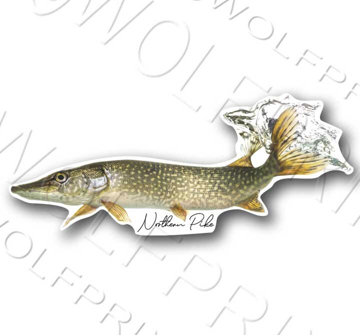 Rainbow Trout Fish Sticker 6" or 11" Wide Walleye Bass Boat Car Window ...