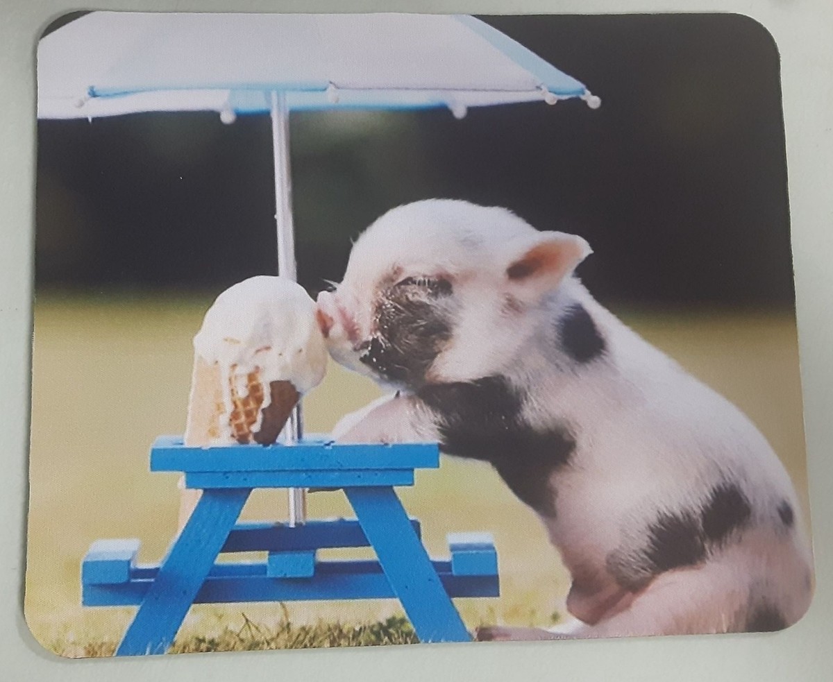 Cute Pig Eating Ice Cream Cute Animals Diamond Painting For Home Decor