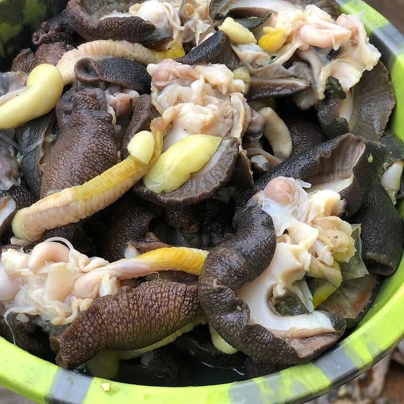 FRESH FROZEN JUMBO SNAILS (5 PIECES) AFRICAN FRESH SNAILS~ JUMBO SIZE ...