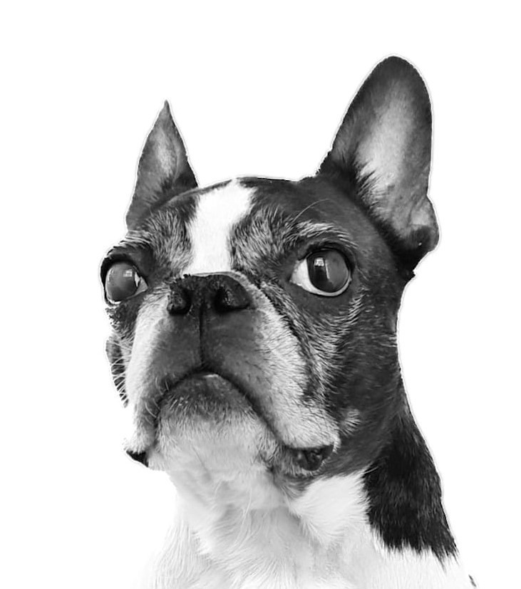 Pippa clothes - Private Listing | eBay UK