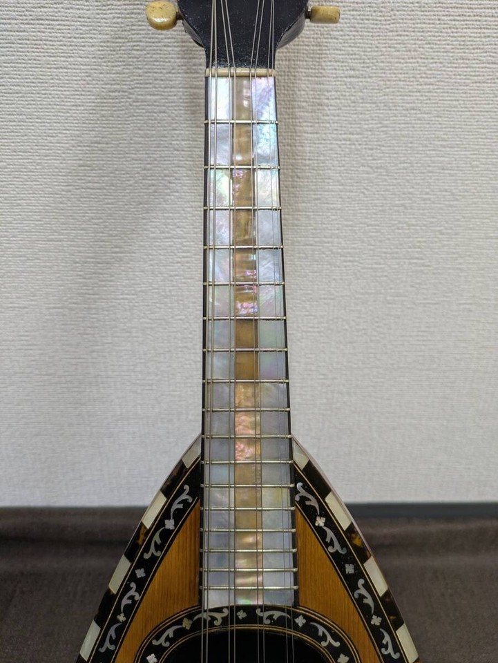 Stridente Old Mandolin | eBay