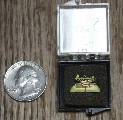 NEW 1971 True Vintage CSF California Scholastic Federation Pin w ...