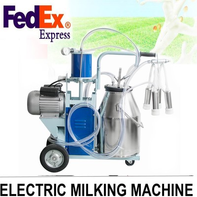Cattle - Dairy - Milking Pump