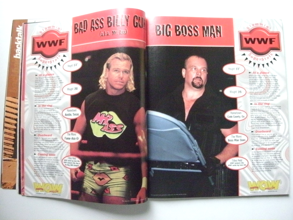 WORLD OF WRESTLING 12/99-HOGAN W/BIG GOLD BELT! MYSTERIO (NO MASK ...