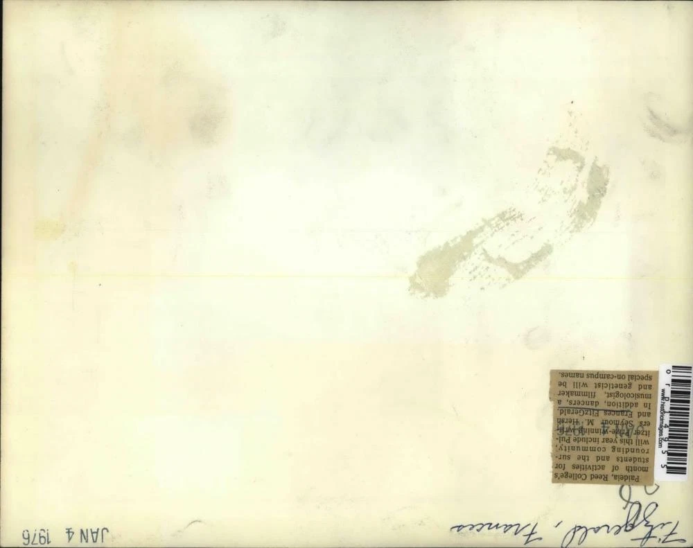 Frances Fitzgerald Journalist