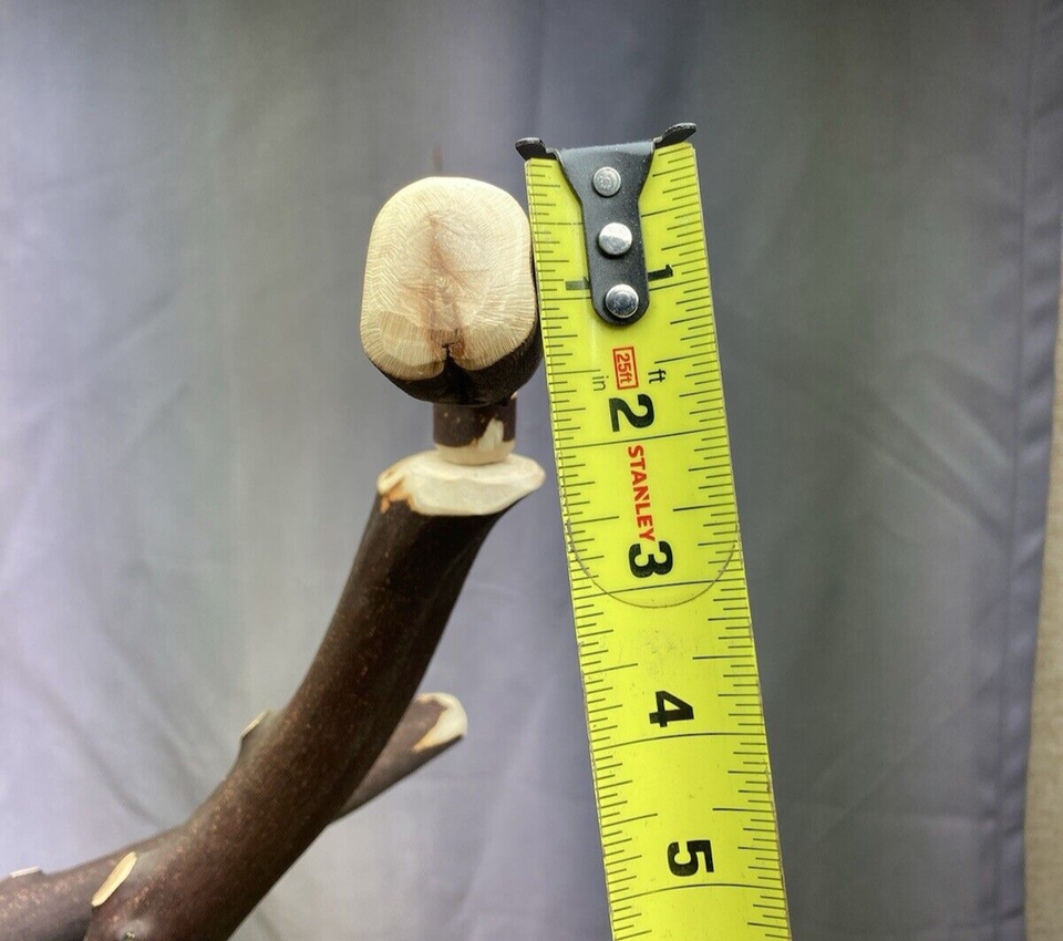 3FT Parrot African Grey Cockatoo MANZANITA Bird Stand Play Stand GYM ...