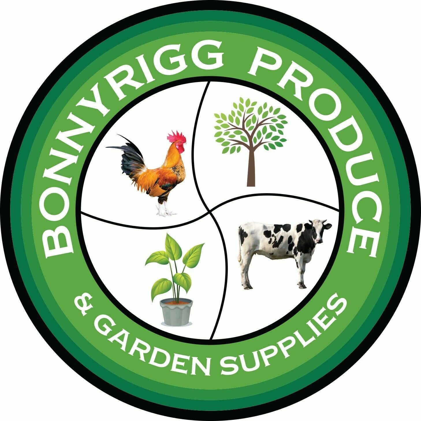 Rootox Sewer Pipe Root Control 4 Pack-Price Drop for Limited Time | eBay