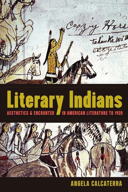 Literary Indians von Angela Calcaterra (2018, Taschenbuch) online ...