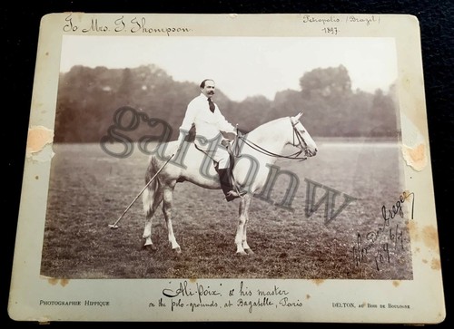 1897 POLO HORSE ALI-POIX ALEXANDER GREGER PHOTOGRAPH * BRAZIL ...