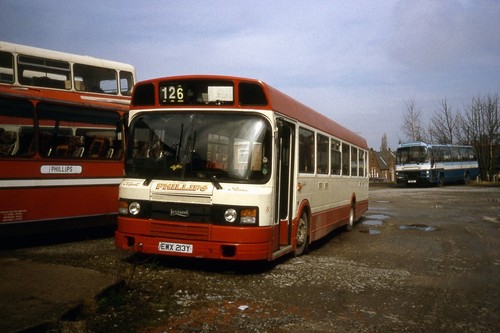Phillips, Holywell EWX213Y Depot 2001 Bus Photo | eBay