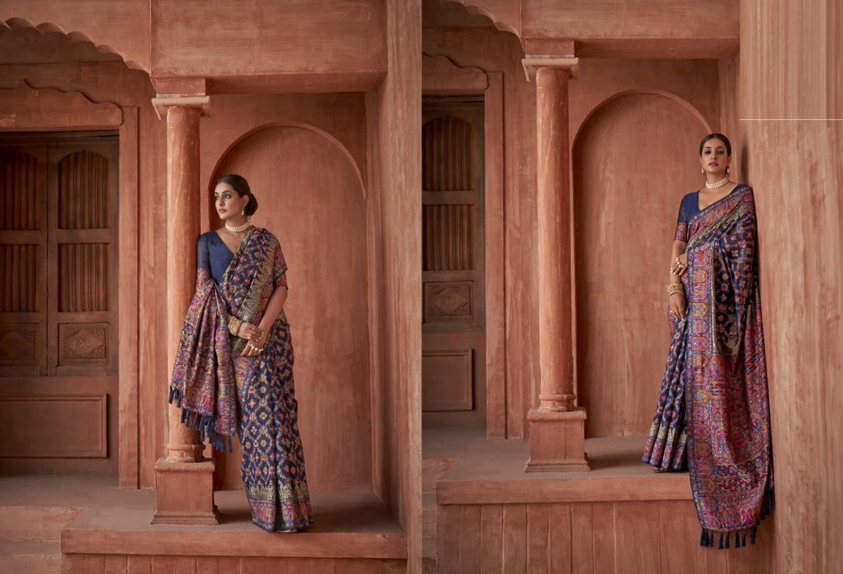 Traditional Indian Sari Pattern