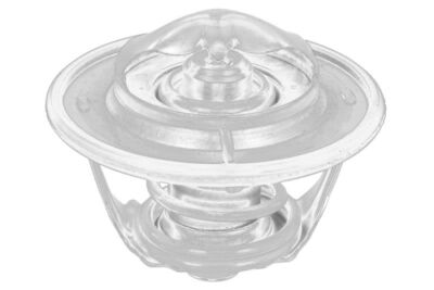 Thermostat, coolant OE CNH 504384724-CNH | eBay Australia