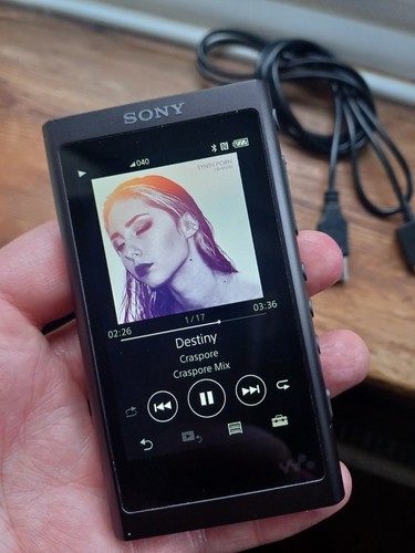 Sony Walkman Nw A55L High Res/MP3 portable Bluetooth Music Player | eBay